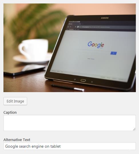 The beginners’ guide to alt tags (with examples) - The Ideal Marketing ...